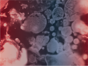 ZRC | Technical Overview