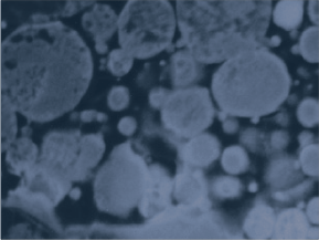 ZRC | Technical Overview